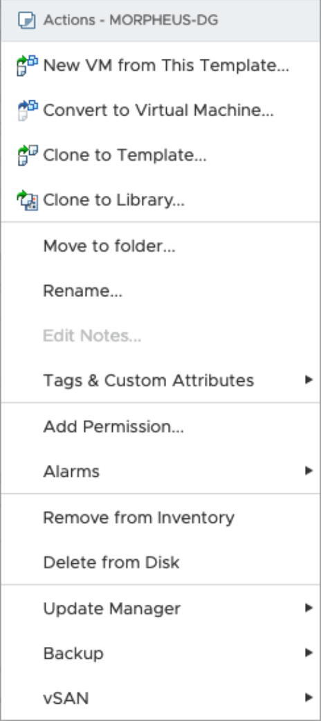 The guest OS version is listed incorrectly on a vCenter VM in Morpheus
