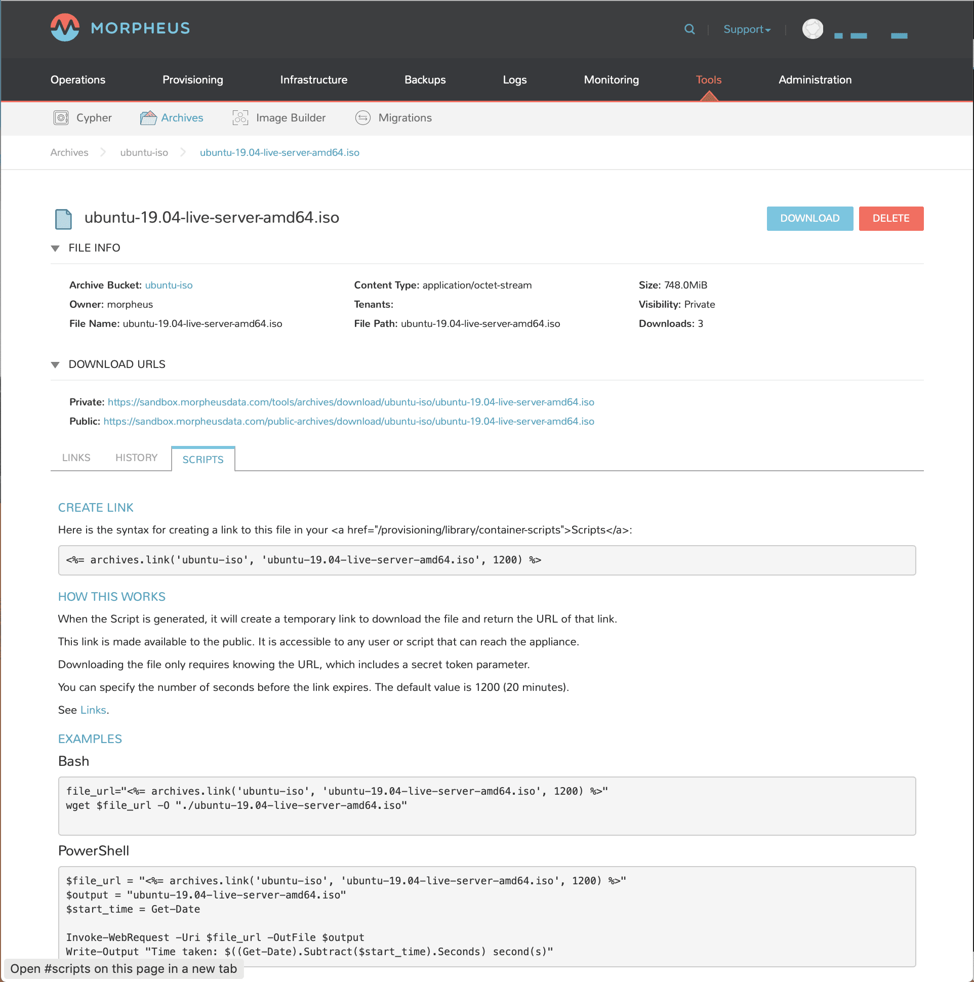 How to introduce an iso volume to a specific instance